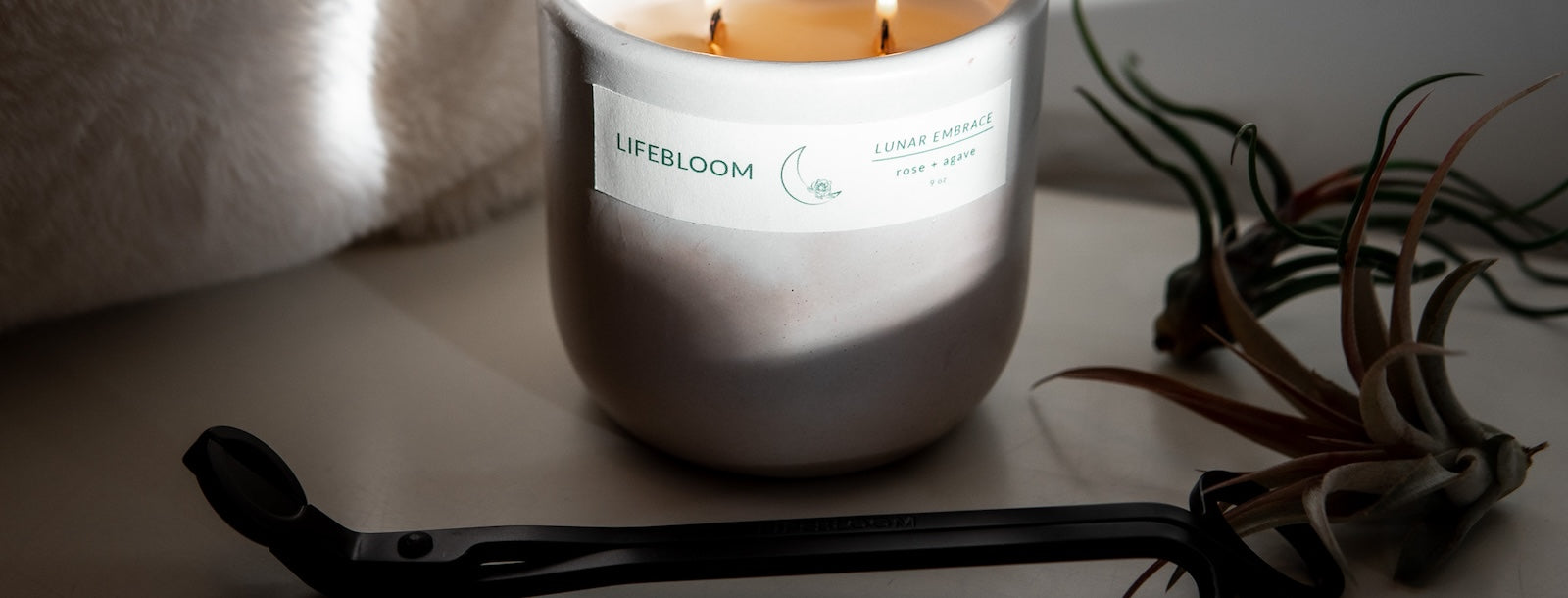 Accessories – Lifebloom